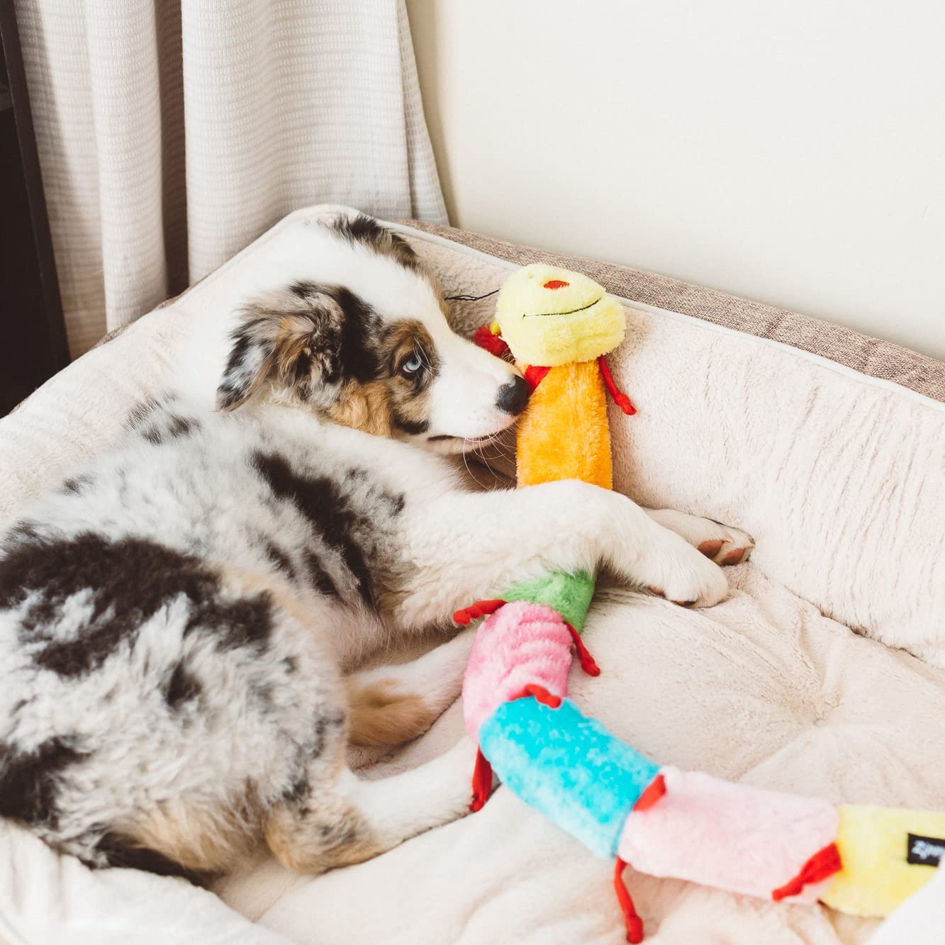 Zippy Paws Blaster Caterpillar Deluxe Dog Toy | Thunder's Treasure Trove