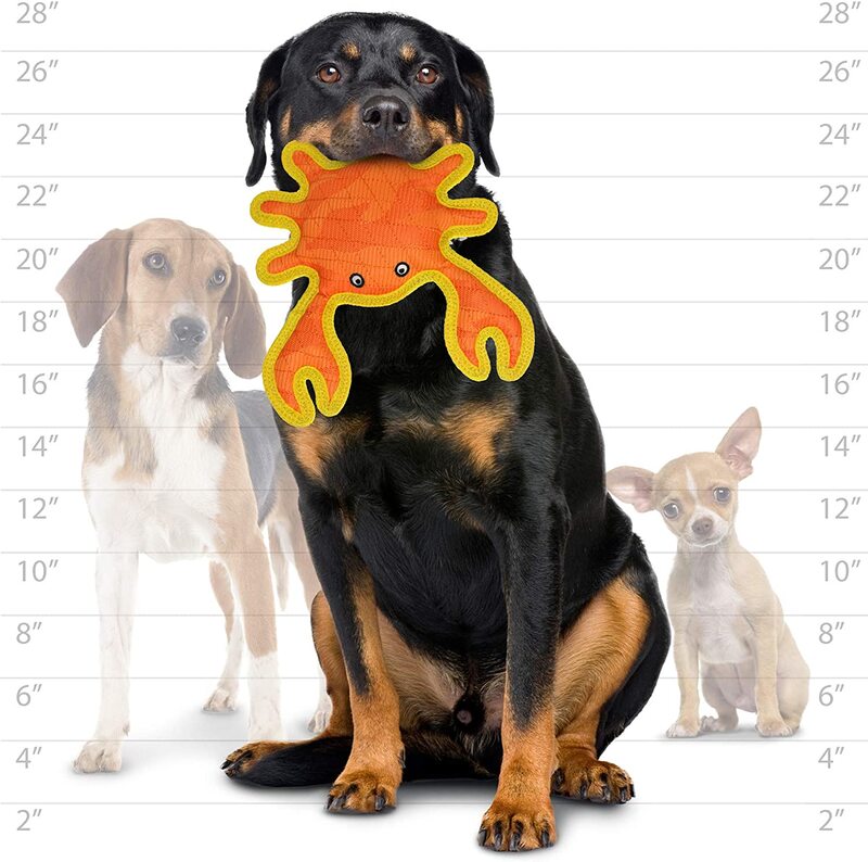 Duraforce Crab Dog Toy | Thunder's Treasure Trove